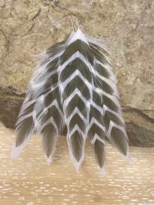 Galloup's Fish Feathers - Arrowhead - Galloup's Slide Inn