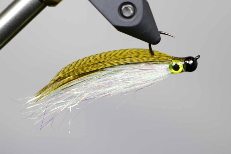 Pocket Dweller - Galloup's Slide Inn