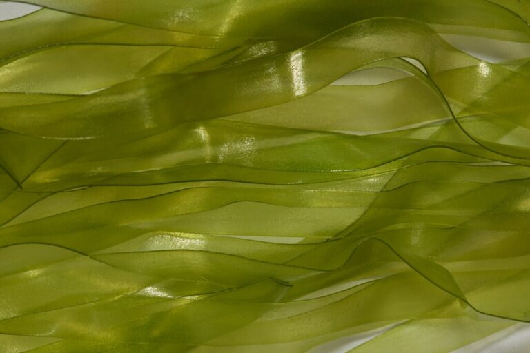 Fulling Mill Scud Skin - Galloup's Slide Inn