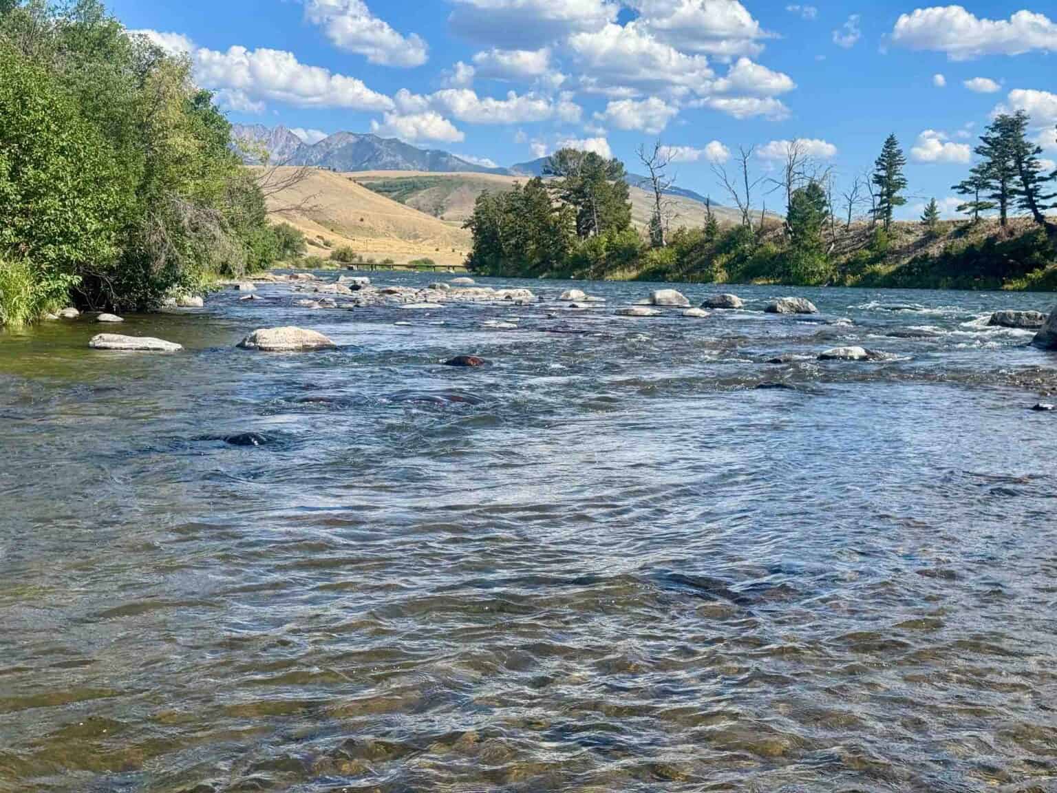 Madison River Fishing Report 9/5/2025 - Galloup's Slide Inn